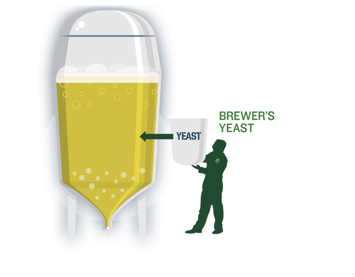 Welcome to Wye Valley Brewery